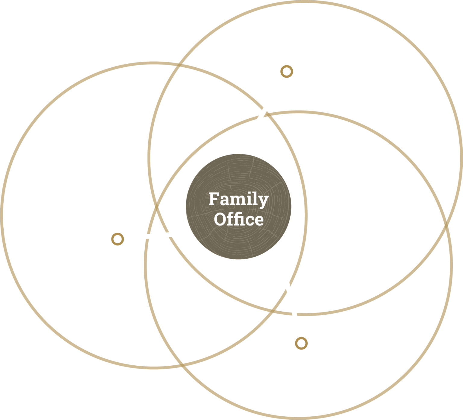 Xylogenesis: Family Office Advisory - Your Trusted Partner for ...