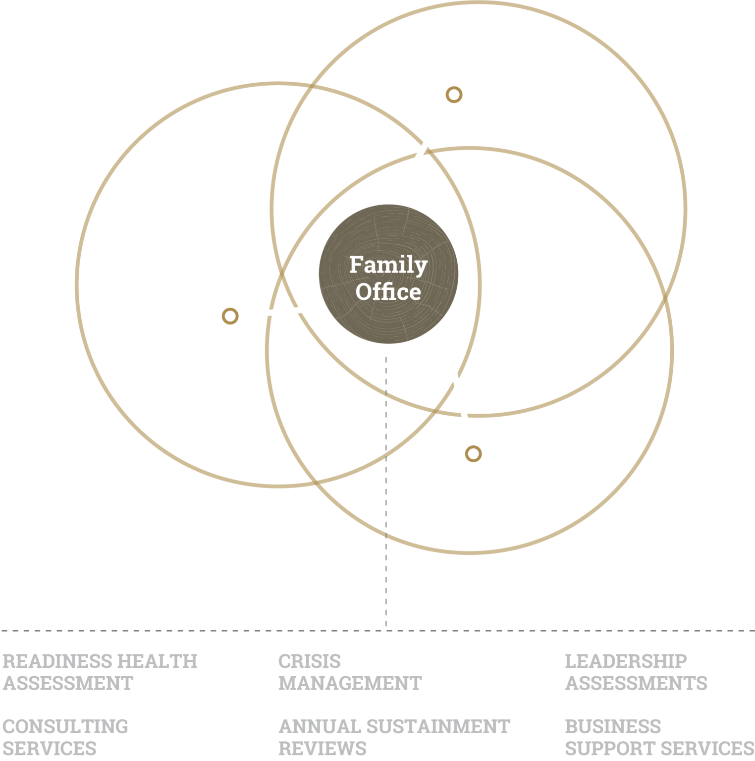 Xylogenesis: Family Office Advisory - Your Trusted Partner for ...